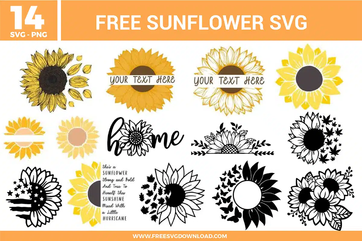 Layered Sunflower Svg Free Design Layered Svg Cut File